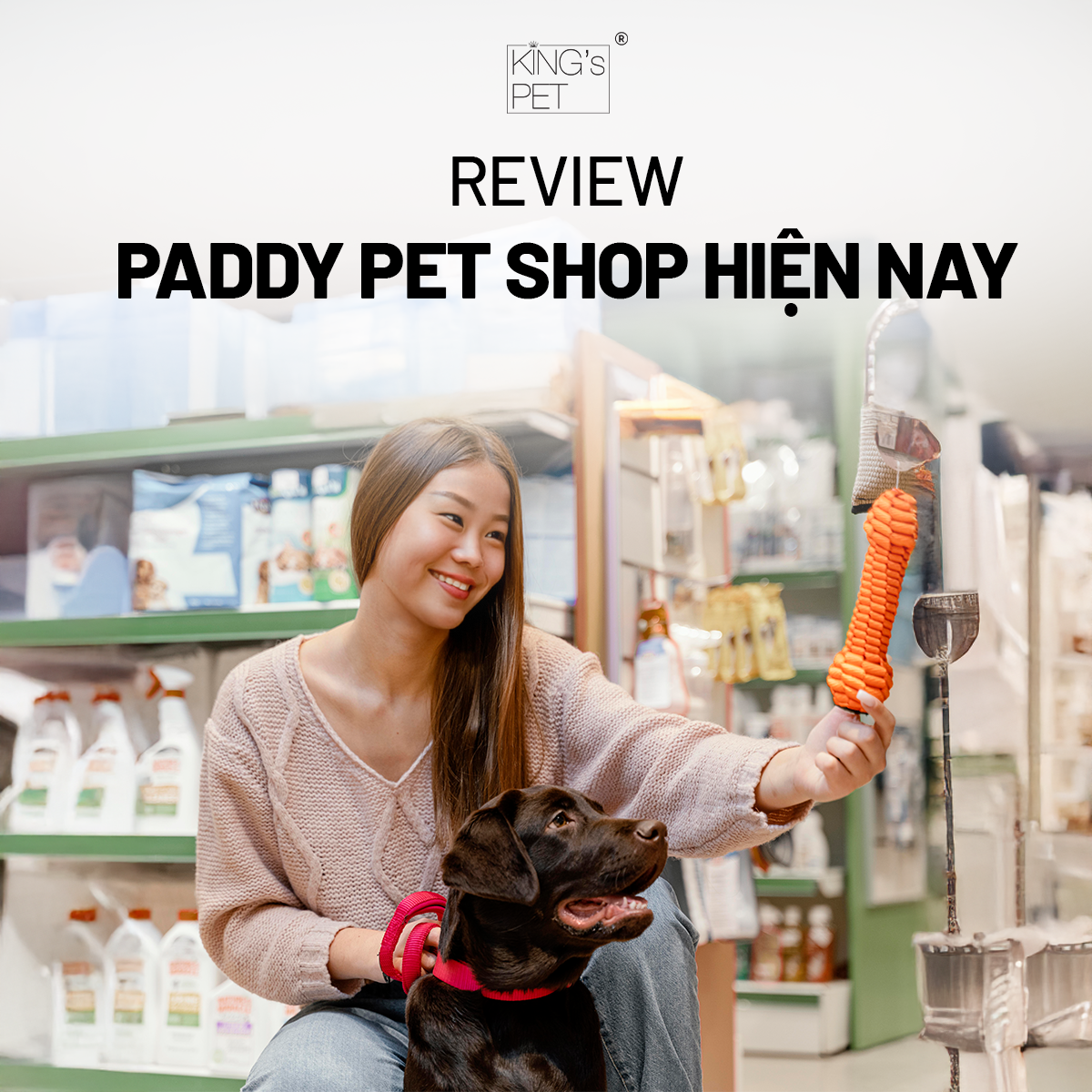 Review paddy pet shop hiện nay