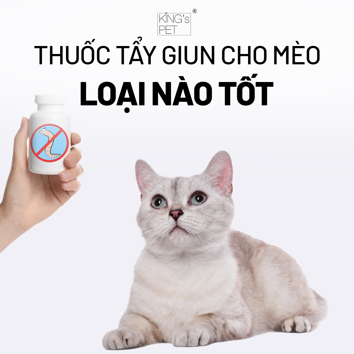 Thuốc tẩy giun cho mèo loại nào tốt