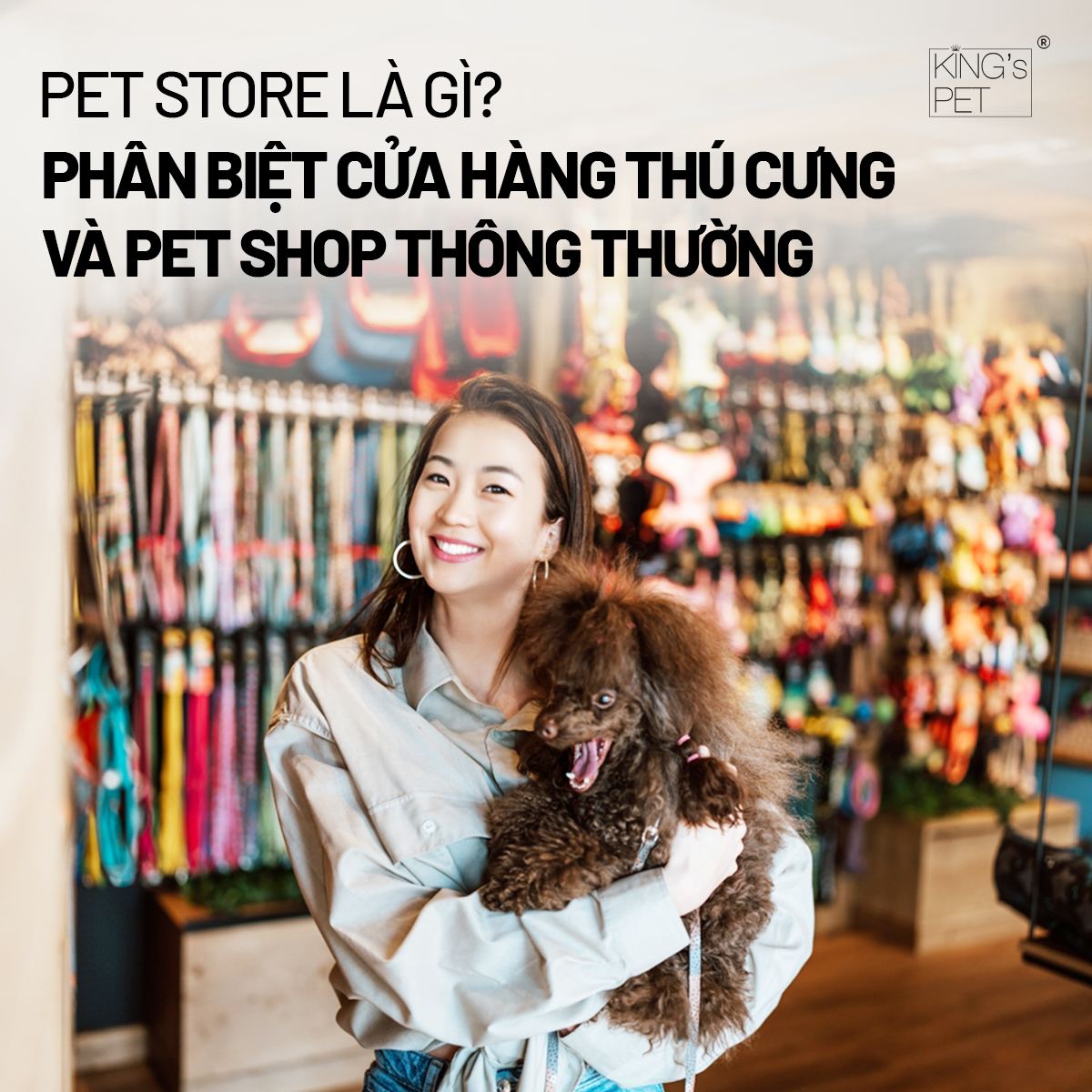 Pet Store Là Gì? Phân Biệt Cửa Hàng Thú Cưng Và Pet Shop Thông Thường
