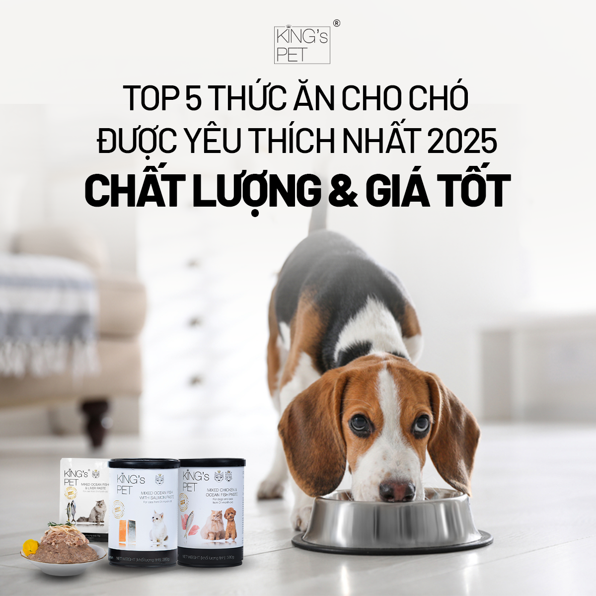 Top 5 Thức Ăn Cho Chó Được Yêu Thích Nhất 2025 – Chất Lượng & Giá Tốt
