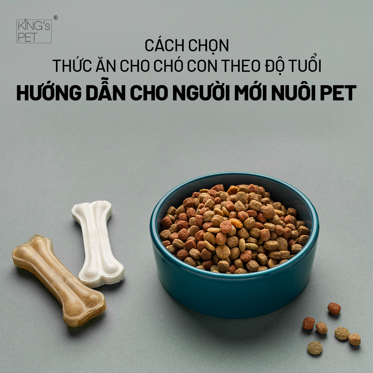 Cách Chọn Thức Ăn Cho Chó Con Theo Độ Tuổi – Hướng Dẫn Cho Người Mới ...