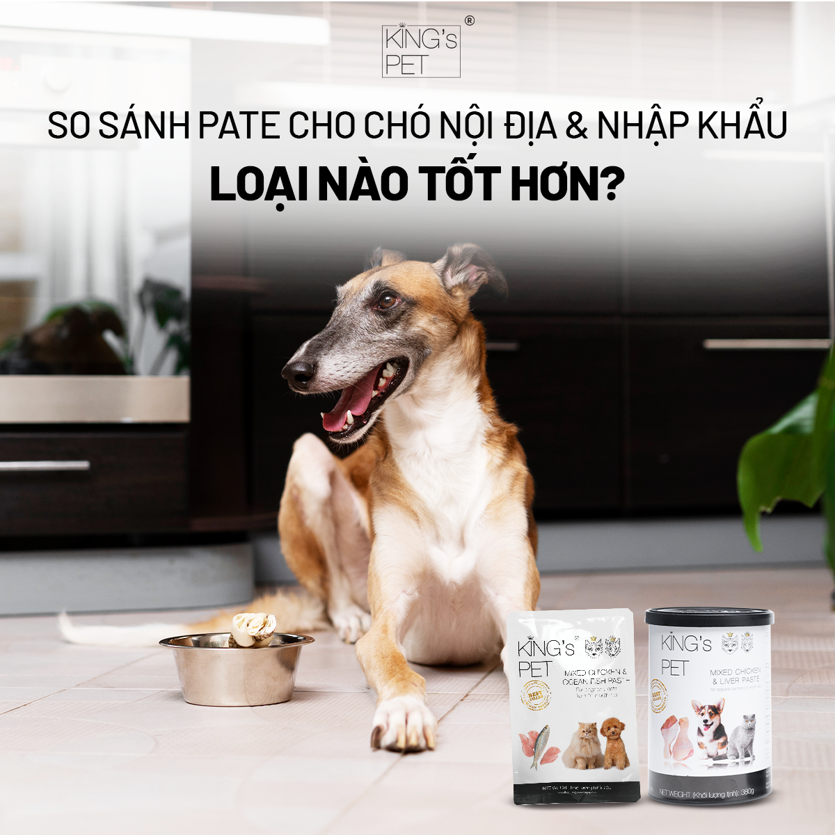 So Sánh Pate Cho Chó Nội Địa & Nhập Khẩu – Loại Nào Tốt Hơn?