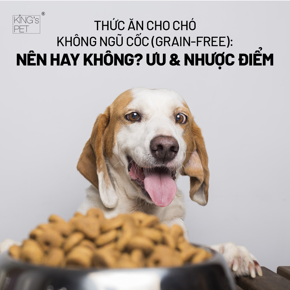 Thức Ăn Cho Chó Không Ngũ Cốc (Grain-Free): Nên Hay Không? Ưu & Nhược Điểm