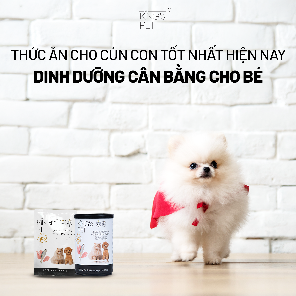 Thức ăn cho cún con tốt nhất hiện nay – Dinh dưỡng cân bằng cho bé