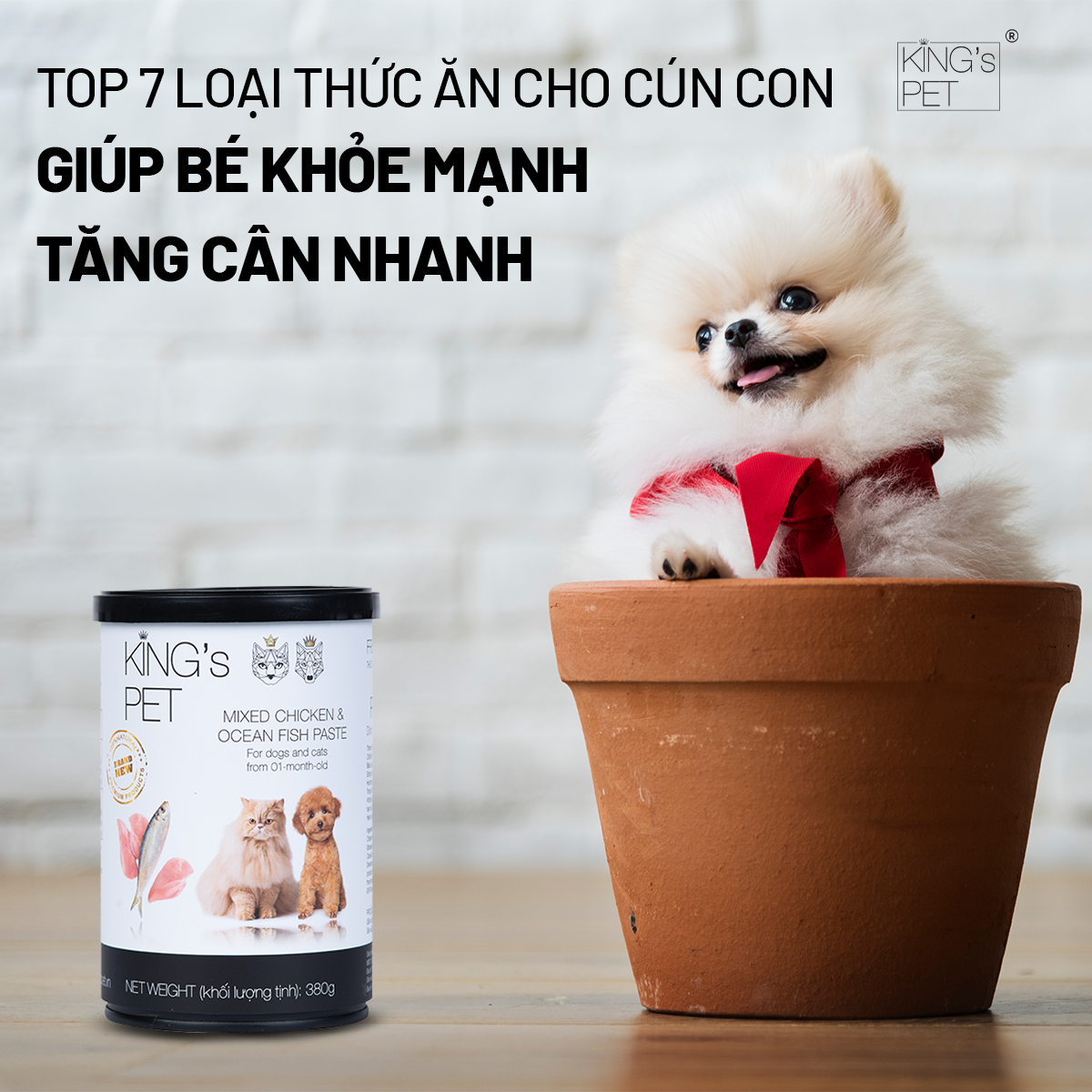 Top 7 loại thức ăn cho cún con giúp bé khỏe mạnh, tăng cân nhanh